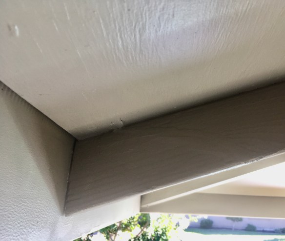 Rafter Tail Repair | Mr. G's Mind