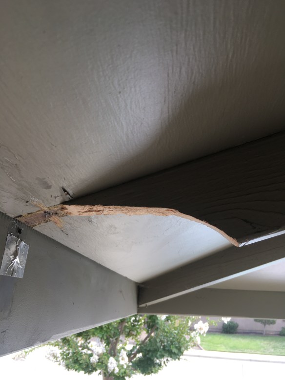 Rafter Tail Repair | Mr. G's Mind