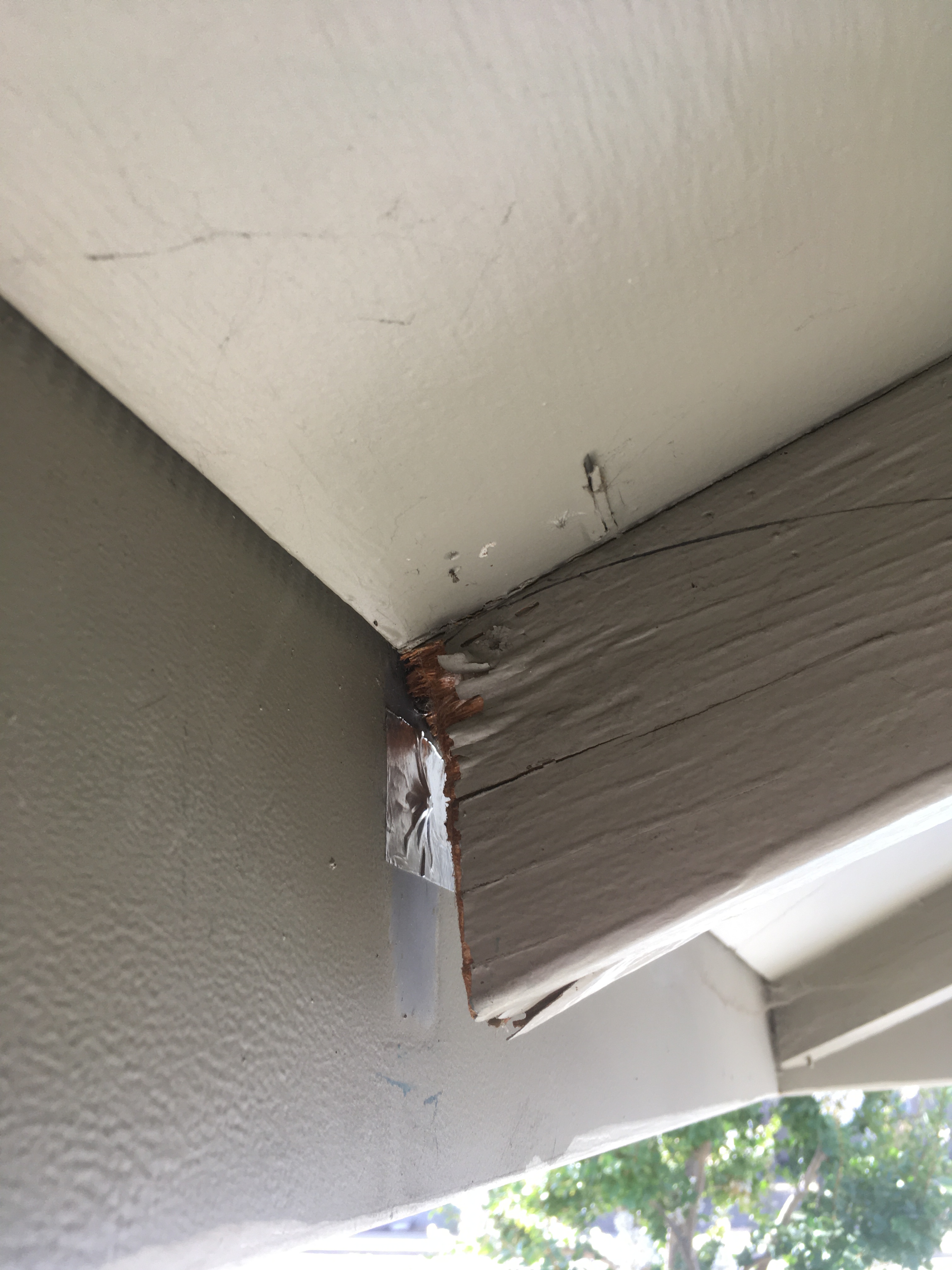 Rafter Tail Repair | Mr. G's Mind