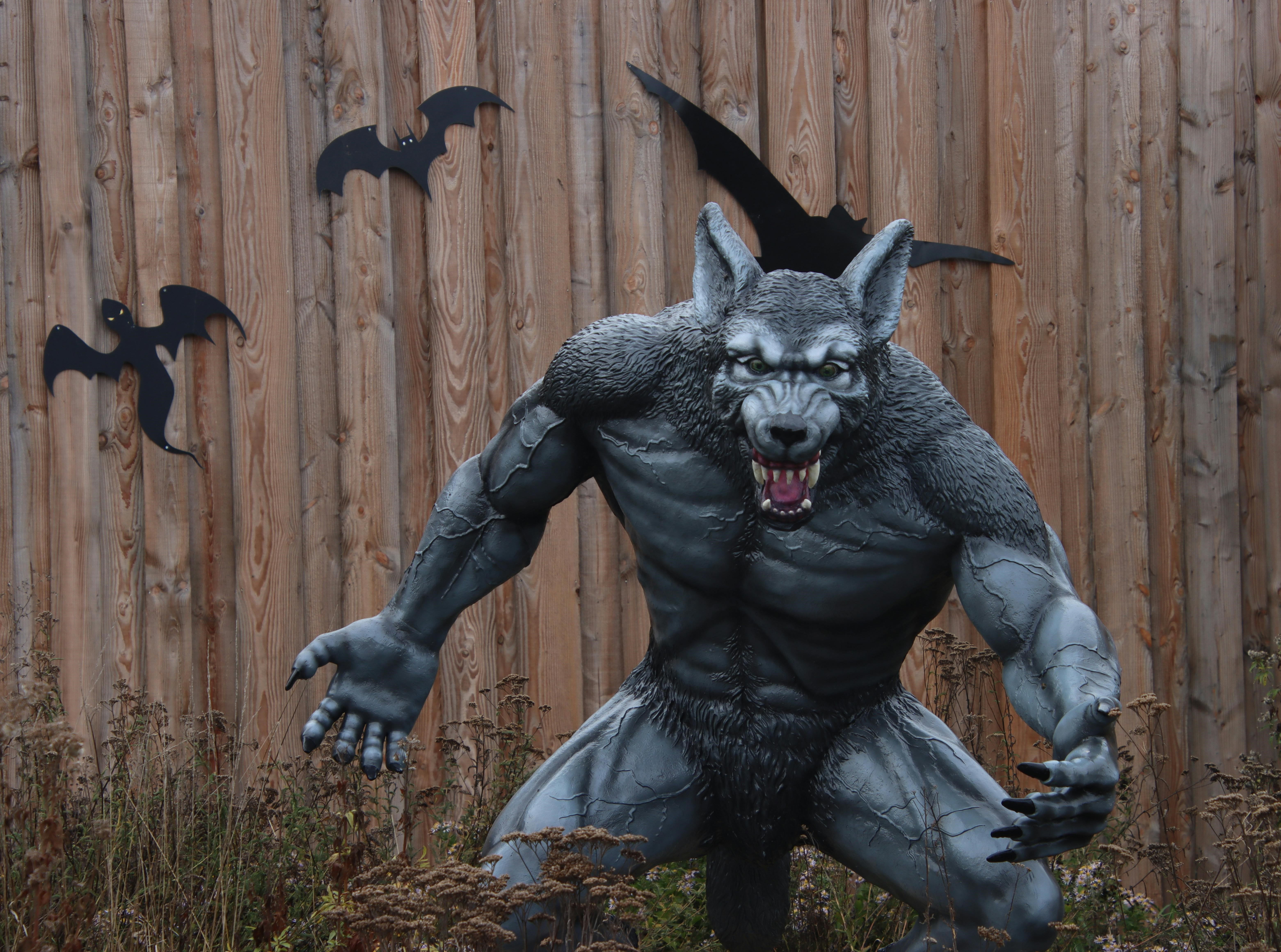 Signaling Behavior Among Werewolves, Wolves, and Dogs | Mr. G's Mind